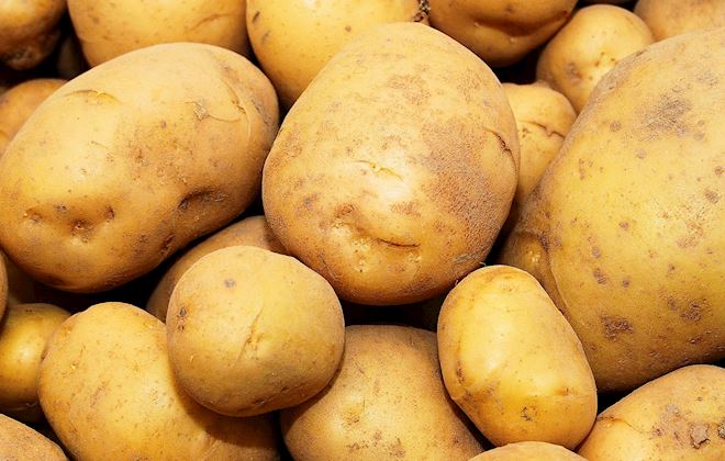 Spanish Vegetables: 25 Vegetable Types in Spain | TasteAtlas