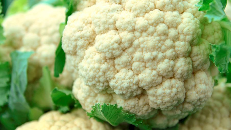 50 Most Popular Western European Vegetables - TasteAtlas