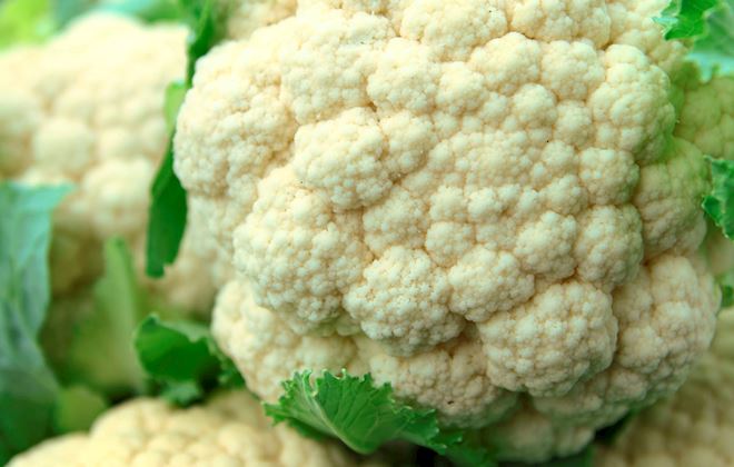 Spanish Vegetables: 25 Vegetable Types in Spain | TasteAtlas