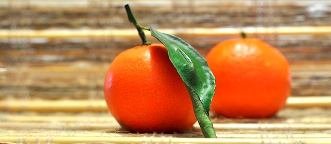 Italian Citrus Fruits: 13 Citrus Fruit Types in Italy | TasteAtlas