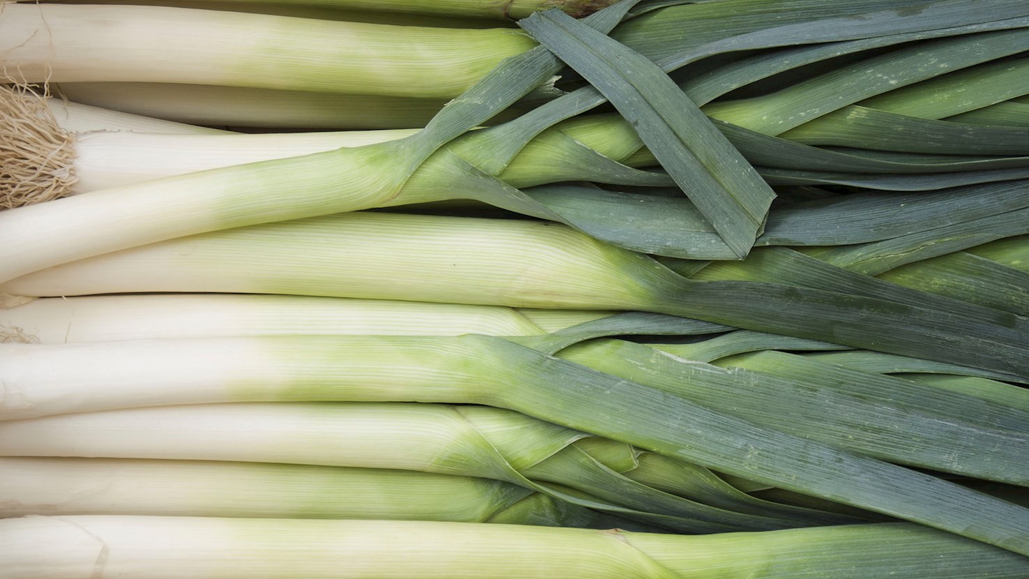 4 Best Leeks in the World - TasteAtlas