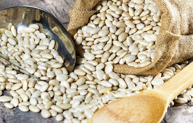European Legumes: 38 Legumes Types in Europe | TasteAtlas