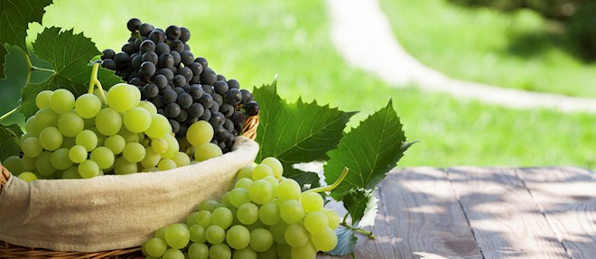 Italian Fruits: 42 Fruit Types in Italy | TasteAtlas