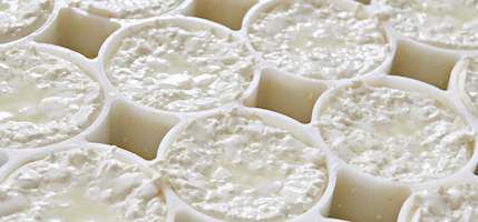 TasteAtlas - Local food around the world