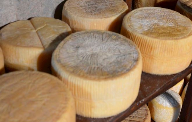 Greek Cheeses: 36 Cheese Types in Greece | TasteAtlas