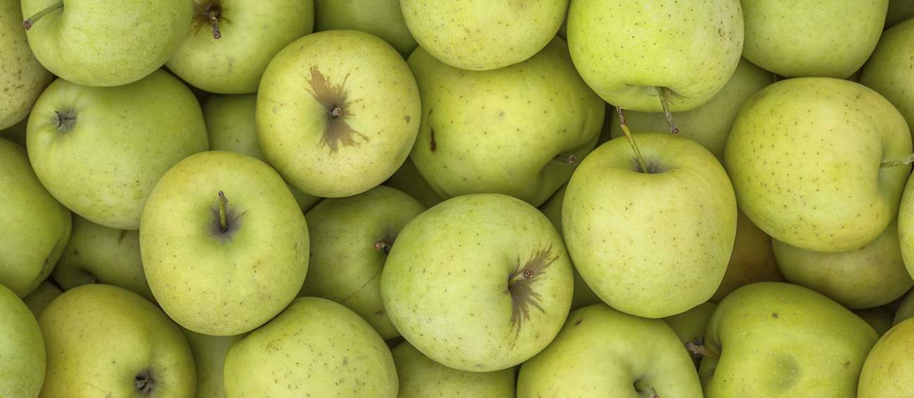Manzana Reineta Del Bierzo | Local Apple From El Bierzo, Spain