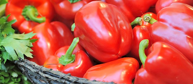Spanish Peppers: 14 Peppers Types in Spain | TasteAtlas