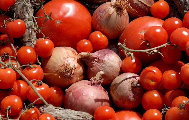 European Tomatoes: 8 Tomato Types in Europe | TasteAtlas