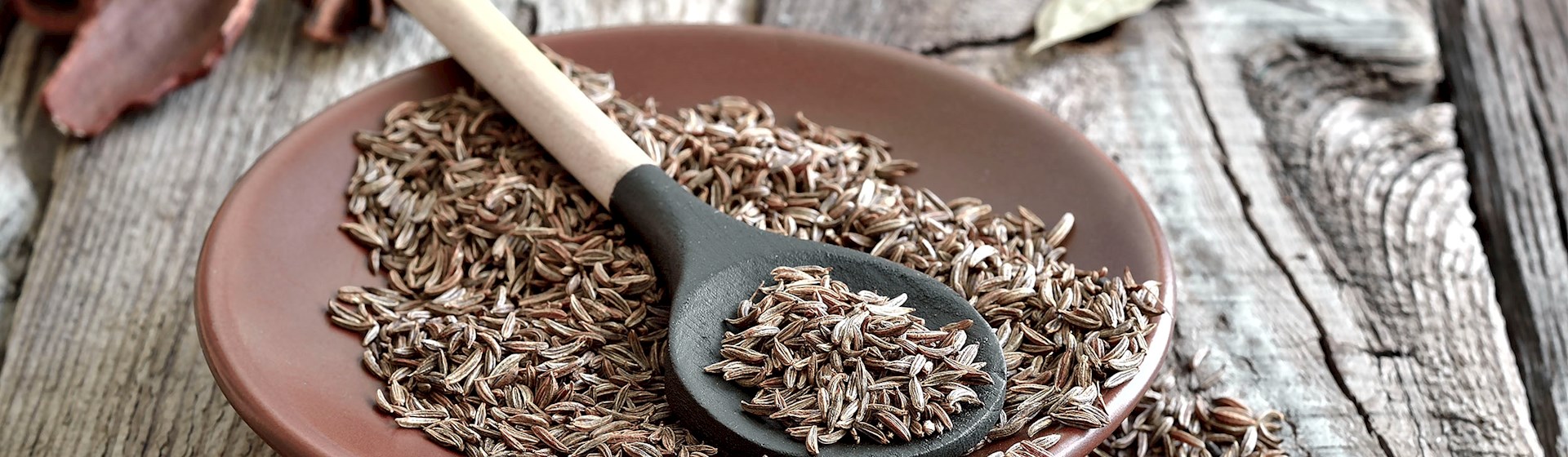 11 Best Seeds in the World - TasteAtlas
