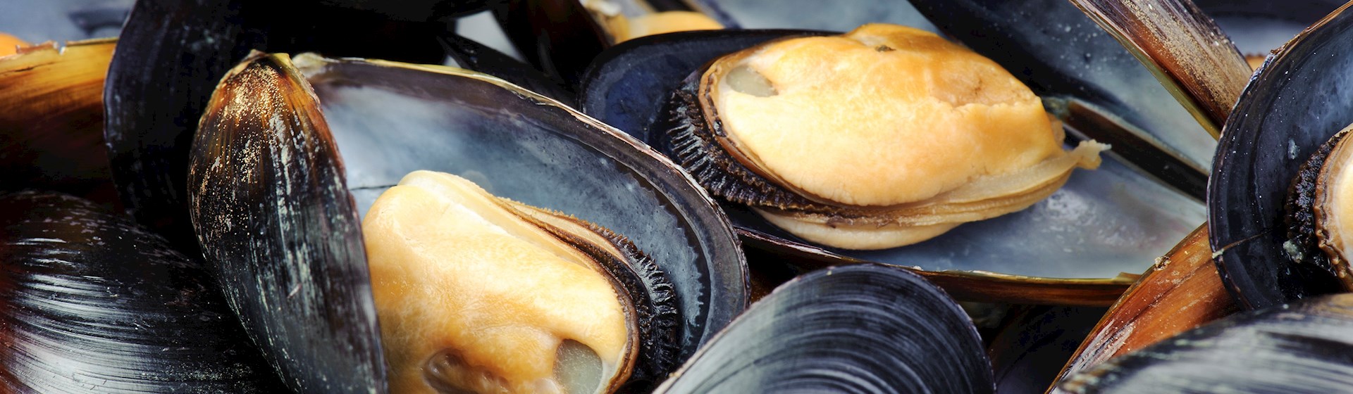 10 Best Mussels in the World - TasteAtlas