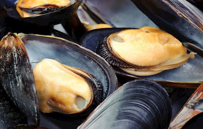 Shellfish of the World: 47 Shellfish Types | TasteAtlas