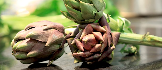 European Inflorescent Vegetables: 7 Inflorescent Vegetable Types in ...