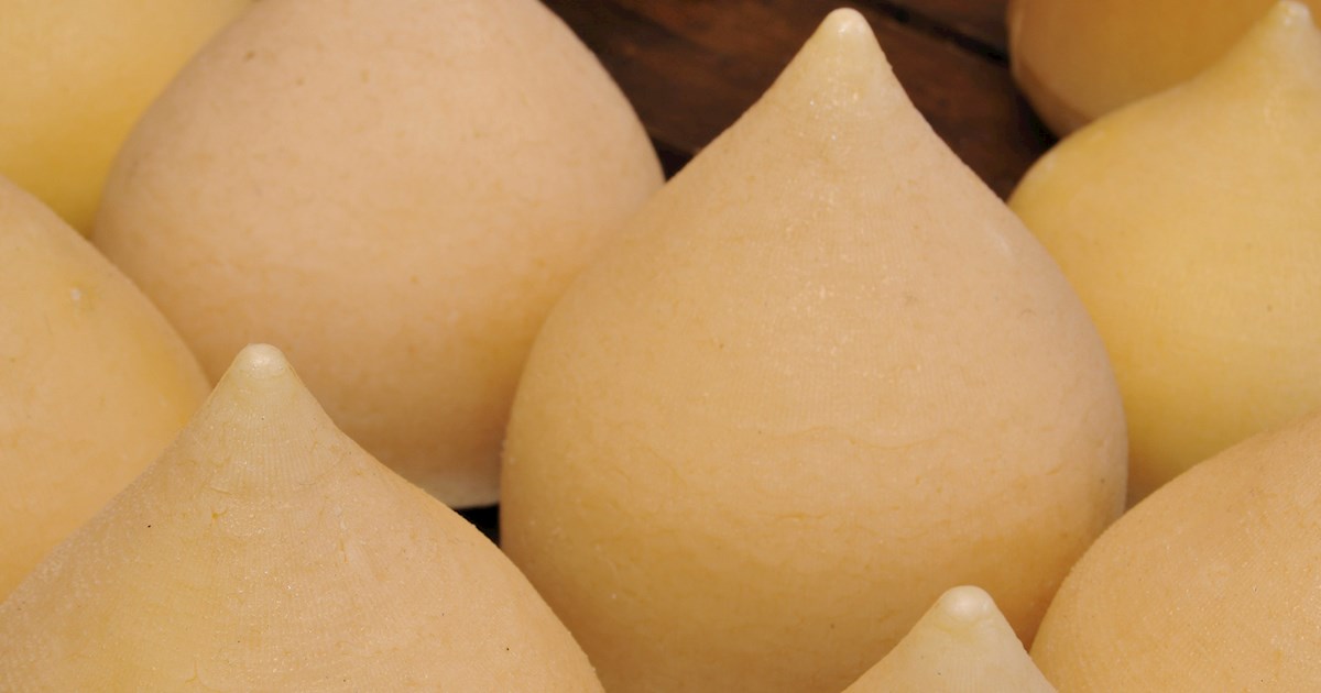 Queso Tetilla | Local Cheese From Galicia, Spain