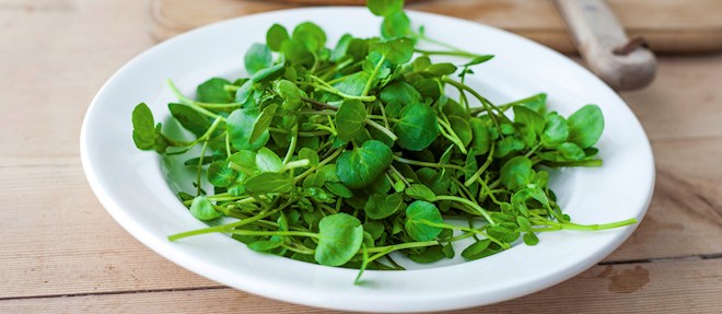 British Vegetables: 10 Vegetable Types in United Kingdom | TasteAtlas