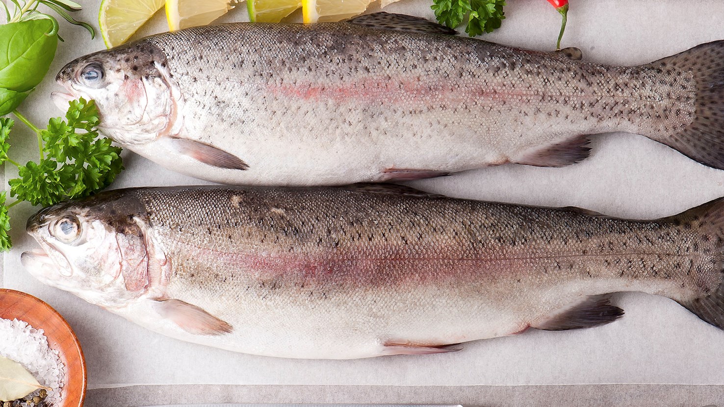 3 Best Freshwater Fishes in Italy - TasteAtlas