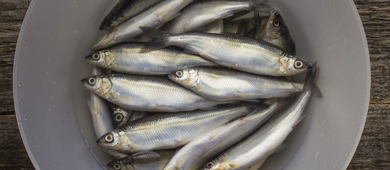 3 Best Fish in Finland - TasteAtlas