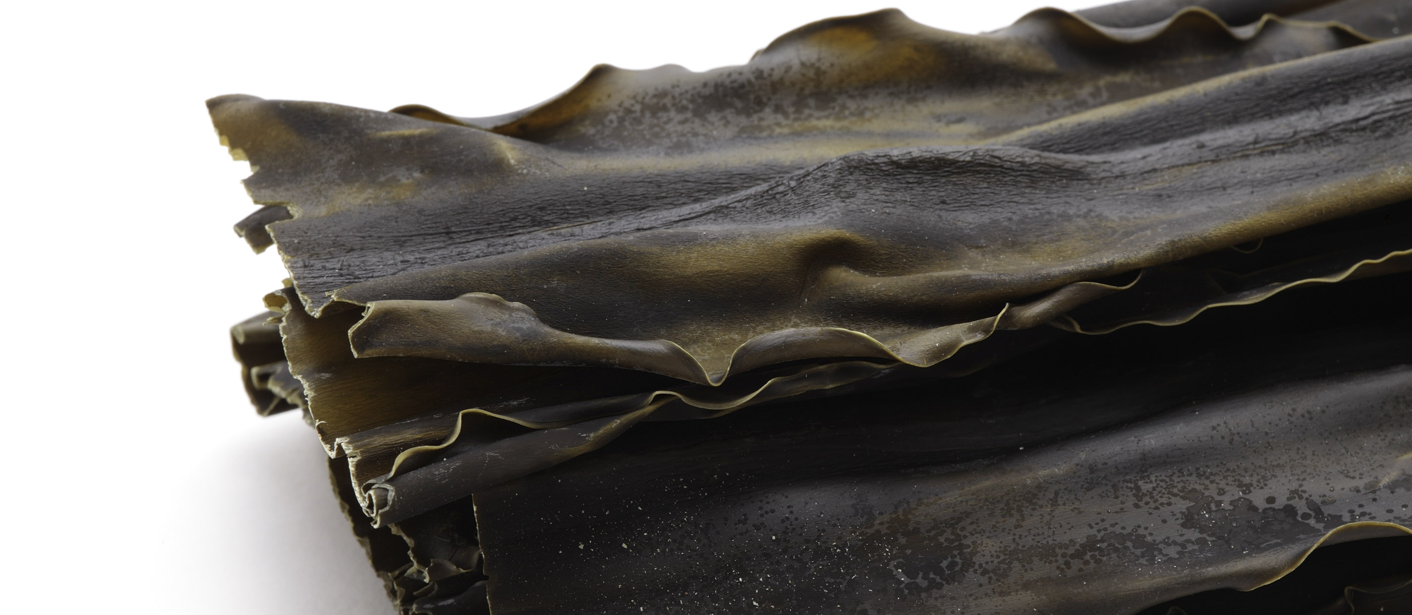 Japanese Algae: 4 Algae Types in Japan | TasteAtlas