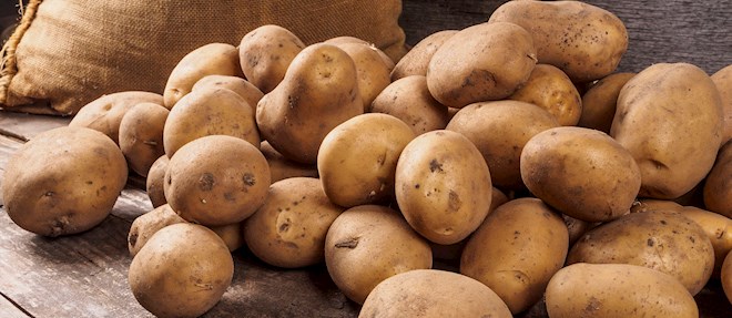Tubers of the World: 82 Tuber Types | TasteAtlas