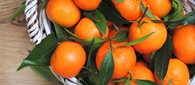 Italian Fruits: 42 Fruit Types in Italy | TasteAtlas