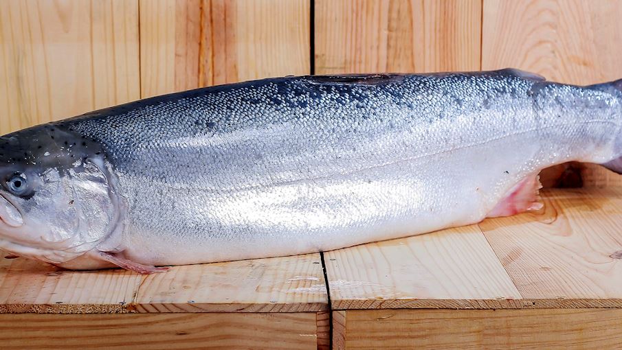 47 Best Fishes in Europe - TasteAtlas