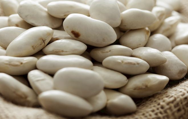 European Legumes: 38 Legumes Types in Europe | TasteAtlas