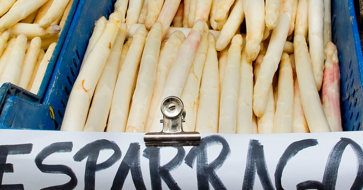 Stalk Vegetables of the World: 24 Stalk Vegetable Types | TasteAtlas