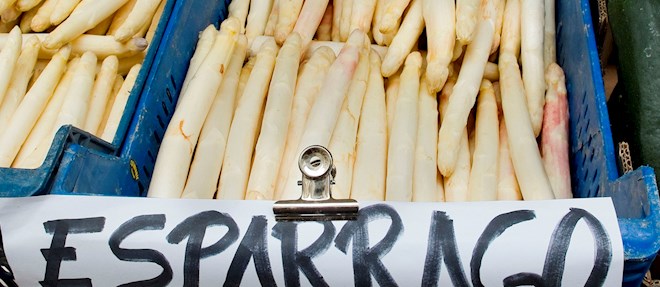 Stalk Vegetables of the World: 23 Stalk Vegetable Types | TasteAtlas