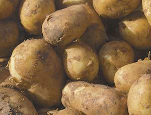 World Potato Map | 43 World Potatoes | TasteAtlas