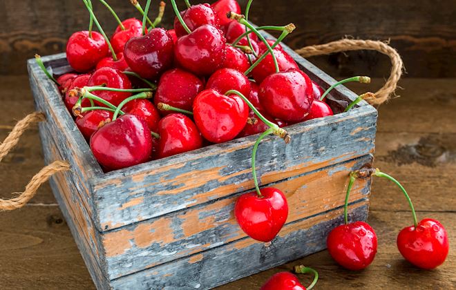 European Fruits (types and products): 148 Fruits (types and products ...