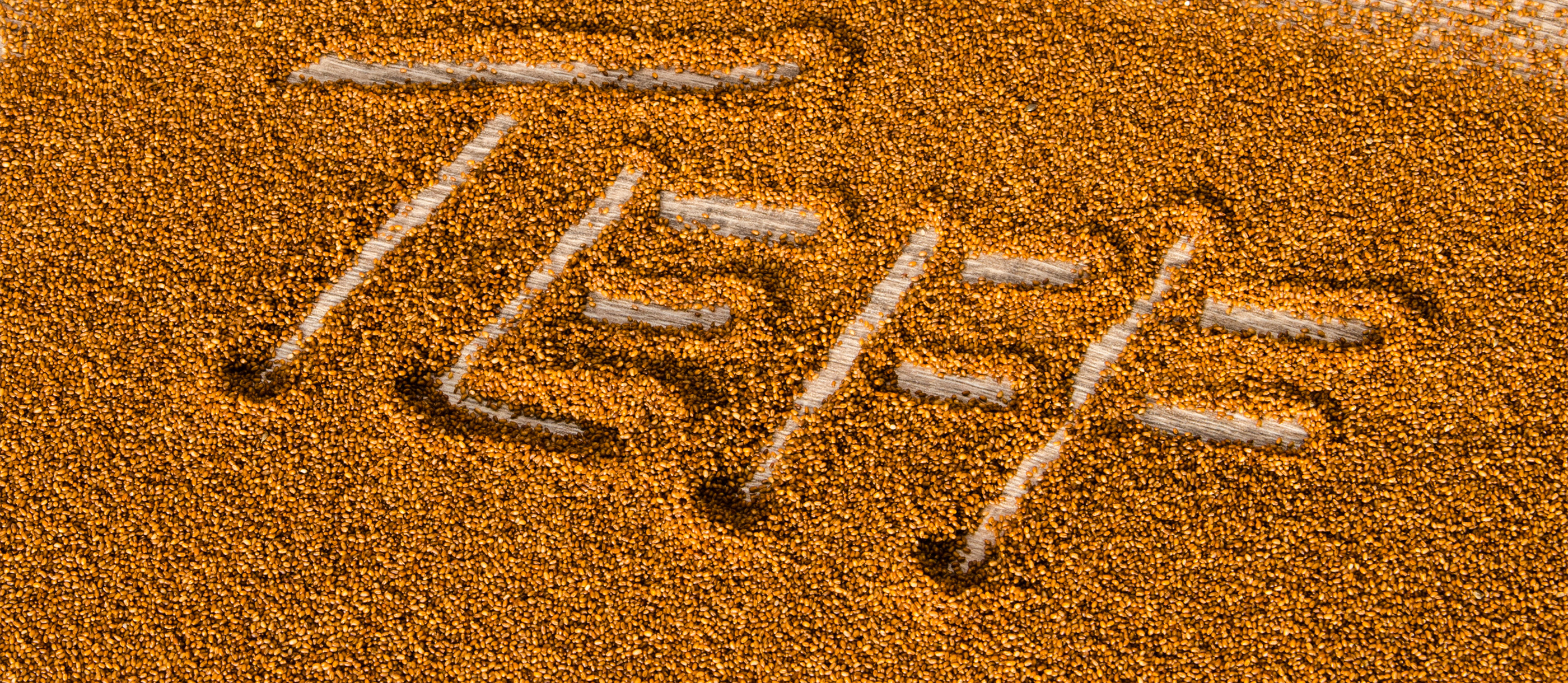 Teff | Local Grain From Ethiopia