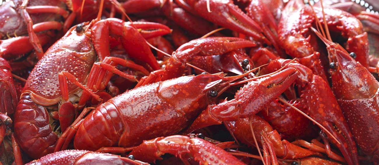 Yancheng Long Xia | Local Lobster From Yancheng, China