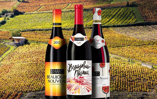 French Red Wines: 74 Red Wine Types in France | TasteAtlas