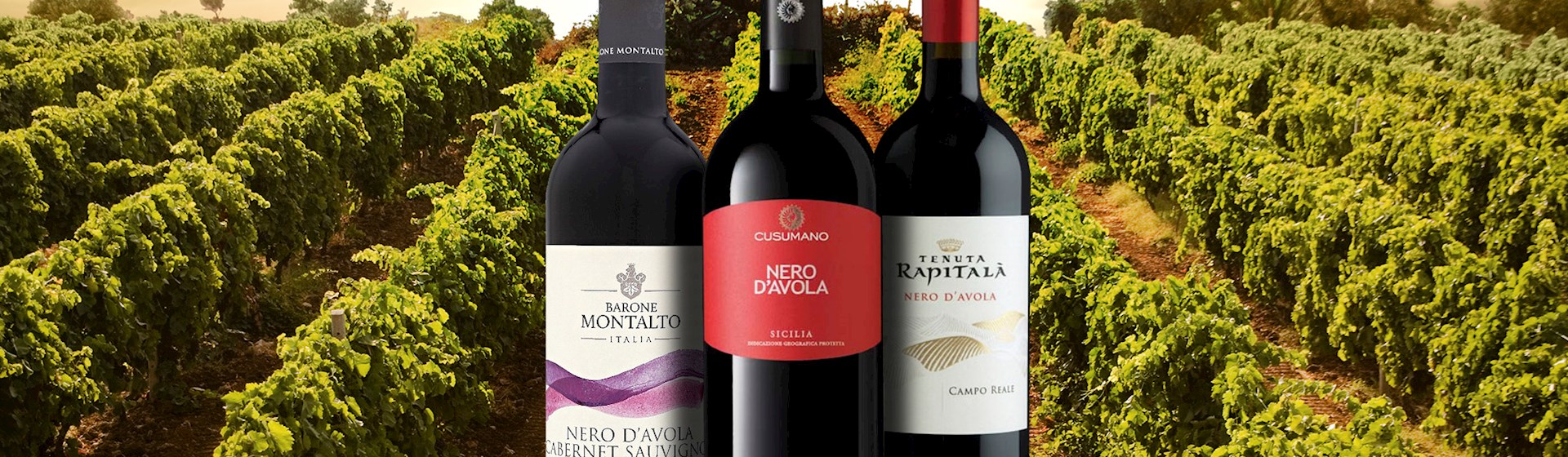 Top 100 Grapes in the World - TasteAtlas