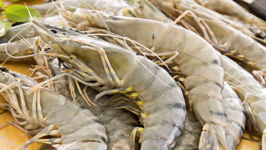 69 Best Shellfishes in the World - TasteAtlas