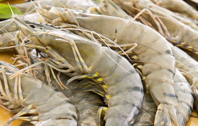 Shellfish of the World: 47 Shellfish Types | TasteAtlas