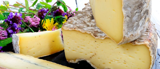Semi-soft Cheeses of the World: 337 Semi-soft Cheese Types | TasteAtlas