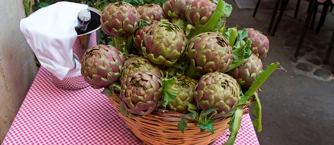 Inflorescent Vegetables of the World: 7 Inflorescent Vegetable Types ...