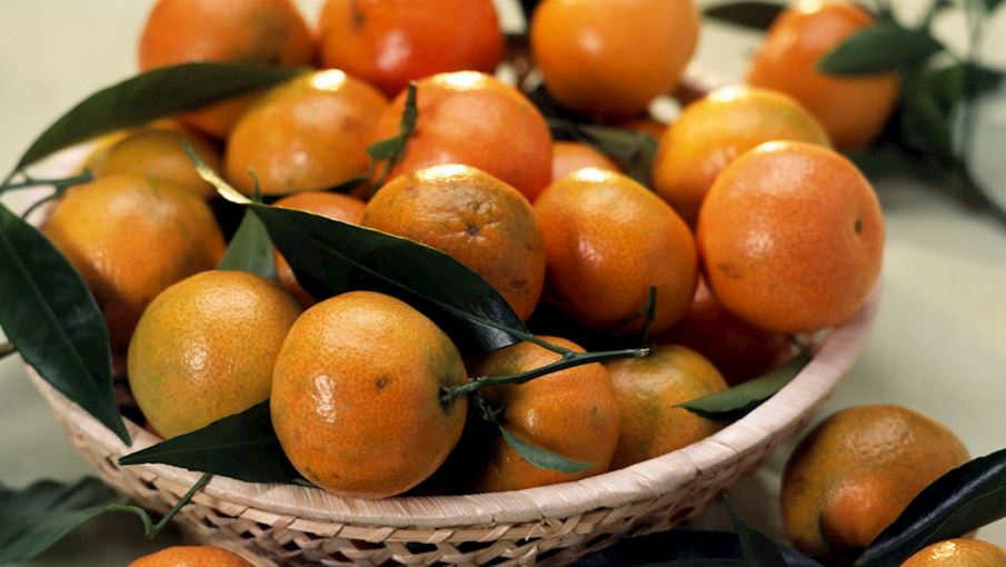 82 Best Fruits in France - TasteAtlas