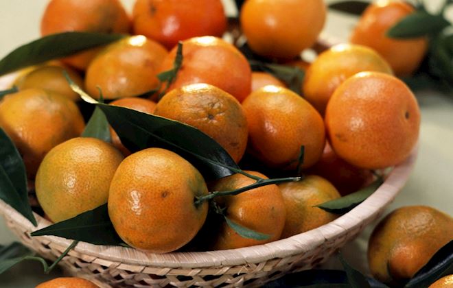 European Fruits (types and products): 148 Fruits (types and products ...