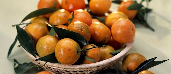 Citrus Fruits of the World: 36 Citrus Fruit Types | TasteAtlas