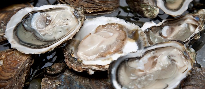British Shellfishes: 12 Shellfish Types in United Kingdom | TasteAtlas