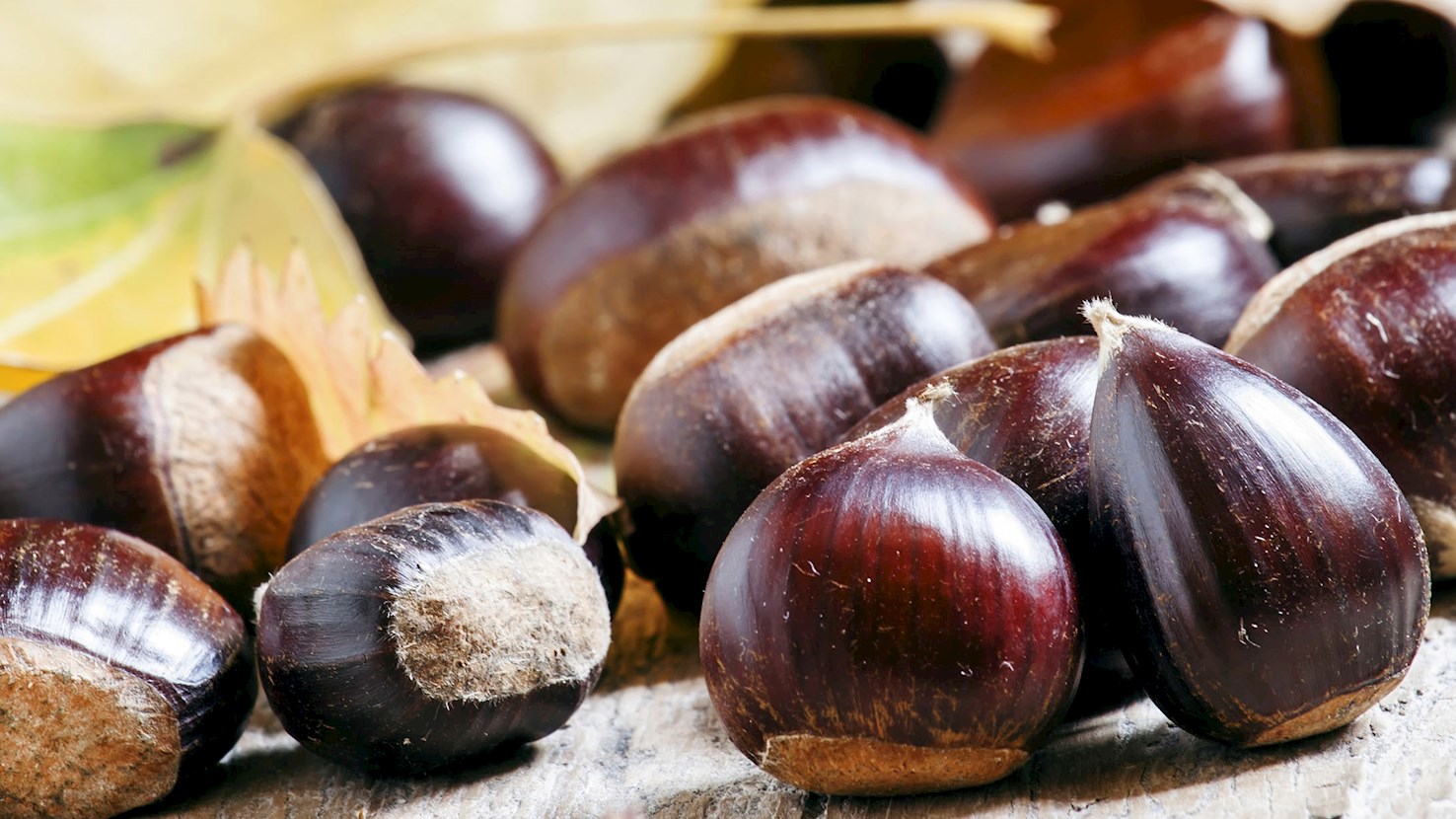 21 Best Chestnuts in the World - TasteAtlas