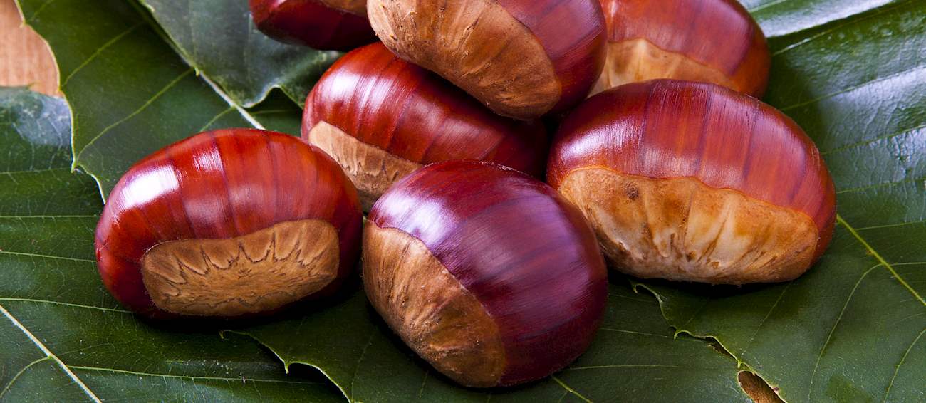 Castaña de Galicia | Local Chestnuts From Galicia, Spain