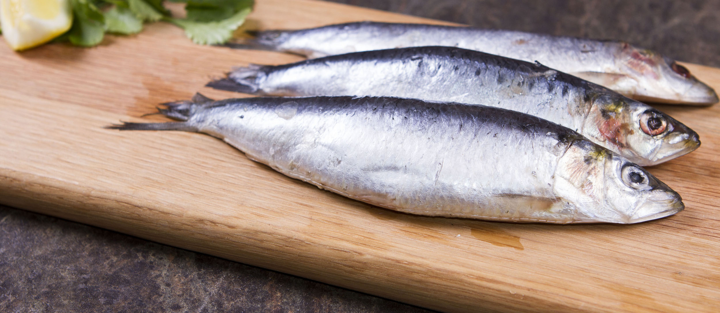 3 Most Popular European Blue Fish - TasteAtlas