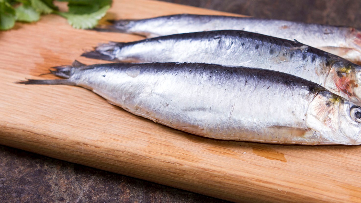 7 Best Fishes in the United Kingdom - TasteAtlas