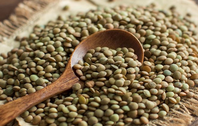 Lentils of the World: 7 Lentils Types | TasteAtlas