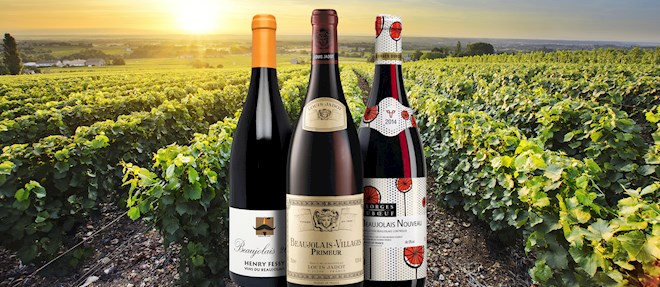 French Red Wines: 114 Red Wine Types in France | TasteAtlas