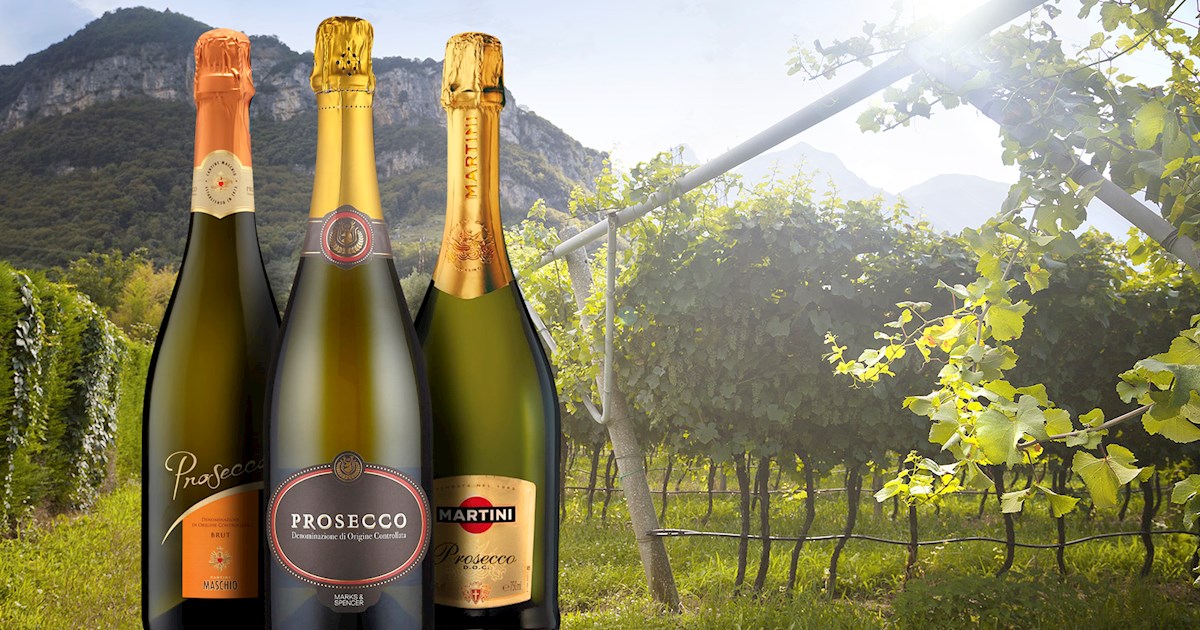 Italian Sparkling Wines: 28 Sparkling Wine Types in Italy | TasteAtlas