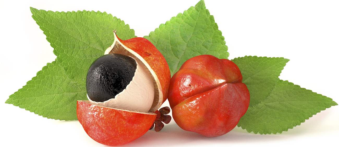 Guarana | Local Berry From Amazonas, Brazil