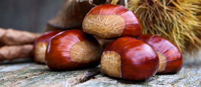 Chestnuts of the World: 22 Chestnuts Types | TasteAtlas